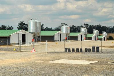 China Sanhe Prefab Broiler House Design Poultry Farm Structures for Pakistan for sale