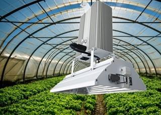 China Low Dissipation 630W Horticultural Grow Lights Optimal Cooling For Seed Starting for sale