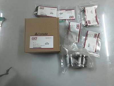 Κίνα Γκαρντνερ Ντένβερ 321SSY6013 Επισκευή περιστροφικών βαλβίδων Συσκευή Επισκευής αέρα Συμπυκνωτή ανταλλακτικά προς πώληση