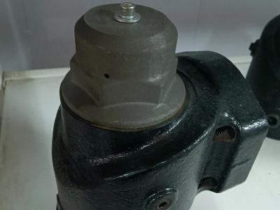 Cina QX104817TD Valvola di pressione minima in vendita