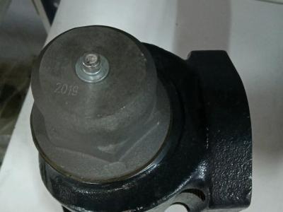 Cina QX104817TD Valvola di pressione minima in vendita