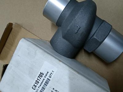 China QX101705 Minimum Pressure Valve for sale