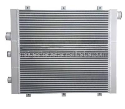 中国 100015140 冷却器 ラジエーター 販売のため
