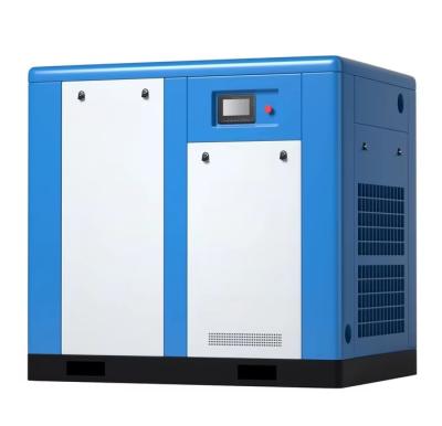 China Compresores industriales de dos etapas sin aceite Compresor de micro aire estacionario 380V Motor de núcleo Industrial personalizado en venta