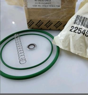 Cina 2906009300 Kit di manutenzione metallica della valvola di compressione d'aria unidirezionale per parti nuove o usate in vendita