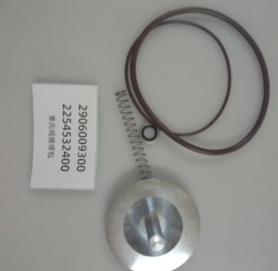 Cina 2906009300 TD Compressore d'aria metallico Valvola unidirezionale Nuovo e usato in vendita