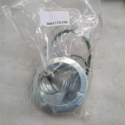 China Voor Atlas Copco Single Break Integral Valve 3001172100 /2906096100 OEM Quality Air Compressor Parts Te koop