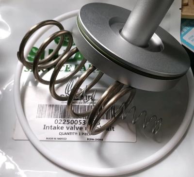 China 02250053-273 Pacote de reparação de válvulas de admissão TD, compressor de ar Sullair à venda