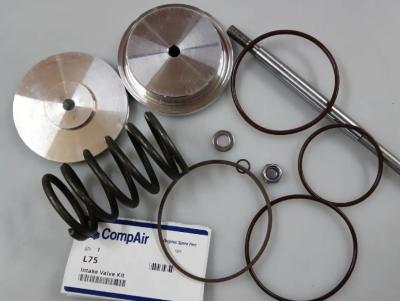 China Comparação de equipamento de compressão de ar Acessórios 100001110 TD L75 Pacote de manutenção da válvula de admissão à venda