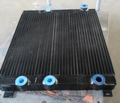 中国 インゲルスロール・ランド 産業用螺旋式空気圧縮機 部品 22176986 冷却機 高効率のオイルフィルター 販売のため