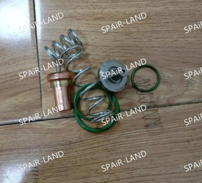 Cina Kit di manutenzione della valvola di controllo della temperatura 2901187200 Atlas può utilizzare accessori di alta qualità venduti a caldo a basso costo in vendita