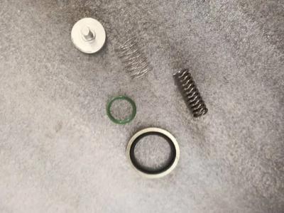 China Kit de válvula de presión mínima Atlas 50-250 psi con juntas HNBR en venta