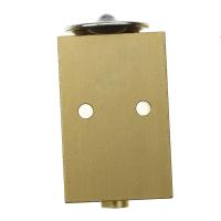China AC Expansion Valve for Ford Excursion 2000 2001 2002 2003 2004 2005 for sale