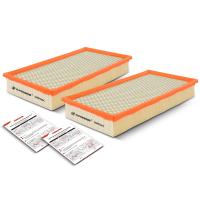 China 2x Engine Air Filter with Flexible Panel for Ford Freestar Thunderbird Lincoln LS for sale