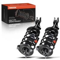 China 2x Front Complete Strut & Coil Spring Assembly for Kia Sorento 2011-2013 for sale