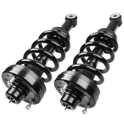 China 2x Rear Complete Strut & Coil Spring Assembly for Ford Expedition 10-17 Lincoln for sale