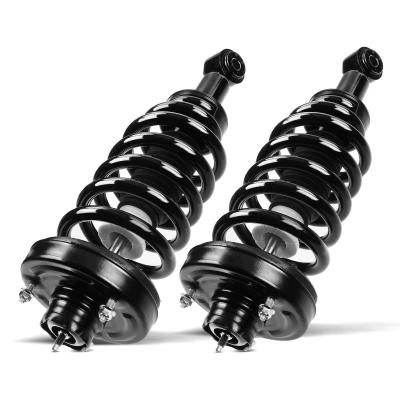 China 2x Rear Complete Strut & Coil Spring Assembly for Ford Expedition Lincoln 03-06 for sale