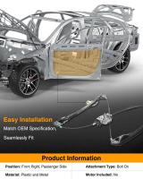 China Front Passenger Window Regulator without Motor for Ford Focus 2001-2007 for sale