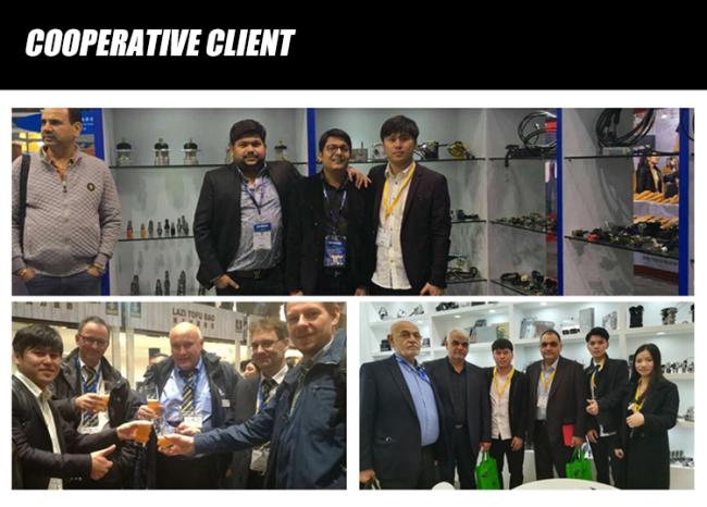 Hydraulic Pump Solenoid Valve quality inspection