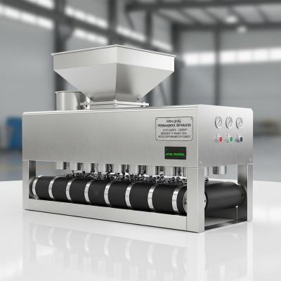 China High Level Permanent Magnetic Separator Rated Current Model dependent Designed to Remove Metal Contaminants Efficiently for sale