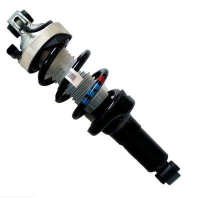 Cina R8 420512019AK 420512020AK Audi Shock Absorber in vendita