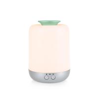 China Home Office 30ml Aromatherapy Essential Oil Diffuser DC5V for sale