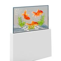 China Museums 55 Inch Transparent OLED Display – Customizable Transparent OLED Screen for Exhibitions for sale