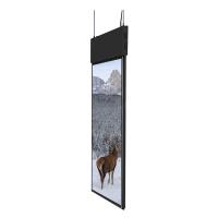 China 43 inch Commercial Transparent OLED Touch Screen Standalone Clear OLED for sale