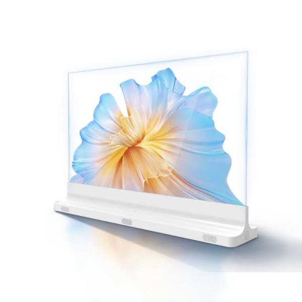Quality Powerful 55 Inch Clear OLED Screen for Precise Image Display for Stage Elevators for sale