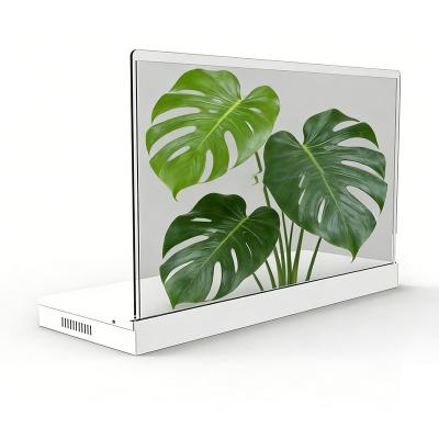 China 30 Inches Frameless Touch Version 7x24 Hours Work Ig transparent oled displays for sale