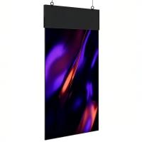 China 55 Inch Flexible Double-Sided Hanging Transparent OLED Display For Advanced Indoor Visual Experience for sale