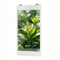 China 55 Inch Custom Shell Transparent OLED Display with Vertical 2×2 Splicing System for sale