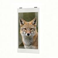 China 55 Inch Custom Shell Transparent OLED Display with Vertical 2×2 Splicing System for sale