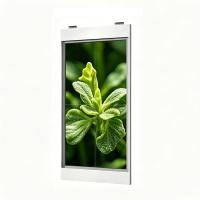 China 55 Inch Custom Shell Transparent OLED Display with Vertical 2×2 Splicing System for sale