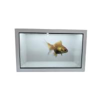China 32 Inch Transparent OLED Touch Screen Cabinet Creating Interactive Premium Displays for sale