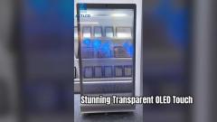 77 Inch Transparent OLED Touch Screen Display