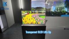 30 Inch Transparent OLED Screen Lifts Up