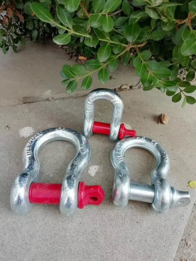 Rigging Hardware Us Type Screw Pin Anchor Shackle Bow Shackle G209 Shackle