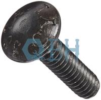 China GR2 Bolt Round Head Square Neck for sale