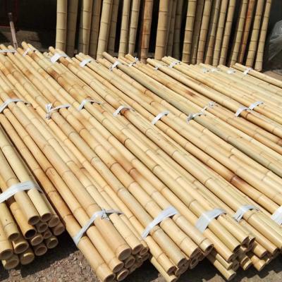 China Raw Bamboo Pole 100% Natural for Gardening Construction and Decoration Top Quality Bamboo Canes/Stakes for sale