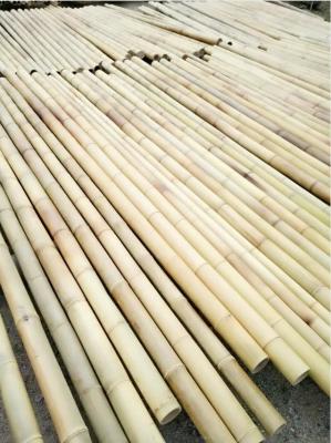 China 3 Inch Moso Bamboo Pole Pure Natural Bamboo Stakes For Plant Decoration Yellow for sale