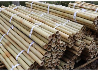 China Garden Furniture Natural  Bamboo Poles Stakes Straight For Garden Plant Length 16cm for sale