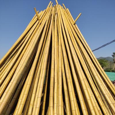 China 100% Natural Raw 240cm Bamboo Pole Building Deoration 60cm To 595cm for sale