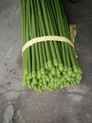 China 40cm 60cm 90cm 120cm Length Green Bamboo Poles Painting Green for sale