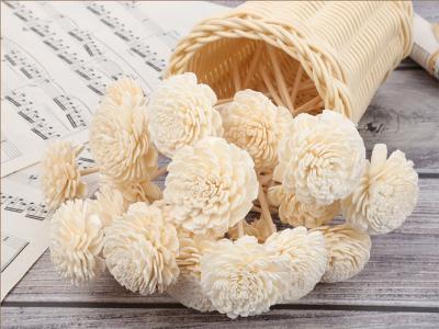 China Scented Wood Dried Sola Flower Reed Diffuser 15cm With Cotton Wick For Decorative for sale