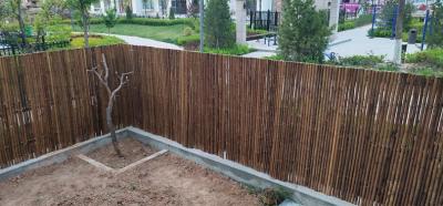 China 2x1.5m Bamboo Screen Fencing Bamboo Paneling Backyard Decotative Home Garden for sale