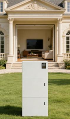 China 15.66kWh 51.2V ESS Energy Storage Wall Mounted Battery Storage 6000 Cycles for sale