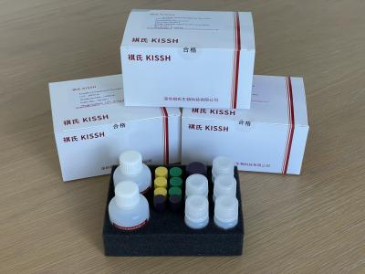 China Especificidade alta ICC IHC que mancham o reagente Immunoassay P16/Ki-67 de Kit Keypath à venda
