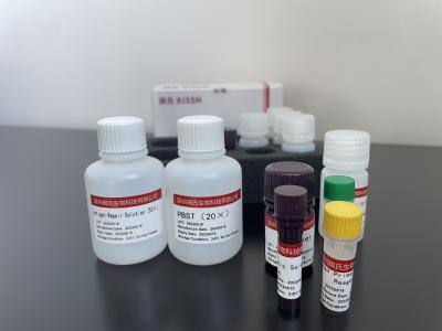 Cina Rilevazione Kit Keypath p16/Ki-67 di dosagggio immunologico IHC che macchia reagente per specificità della prova del Cancro cervicale l'alta in vendita
