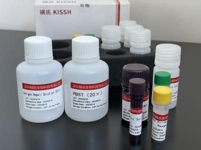 Cina Prova di dosagggio immunologico dell'indicatore ICC della proteina di Keypath P16 Kit Cervical Cancer Screening in vendita